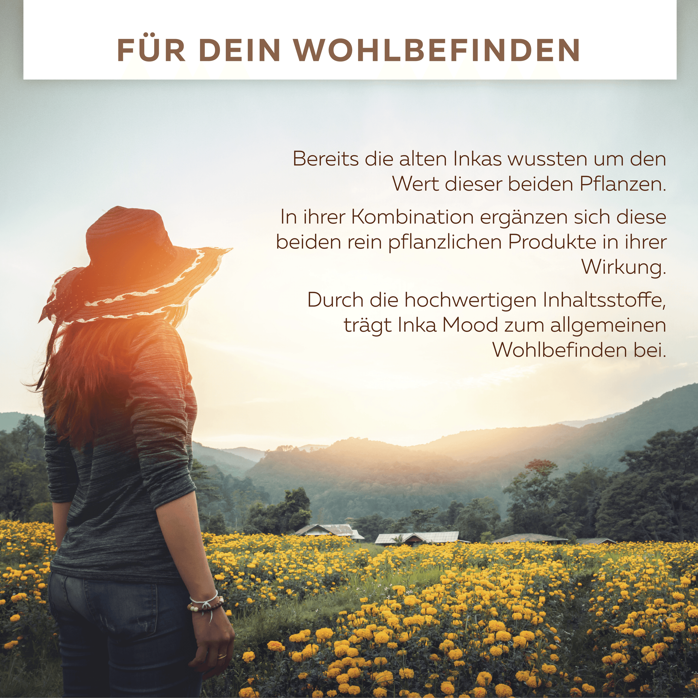 Inka Mood - Das Gold der Inkas aus Amaranth & Quinoa | Vinplus®